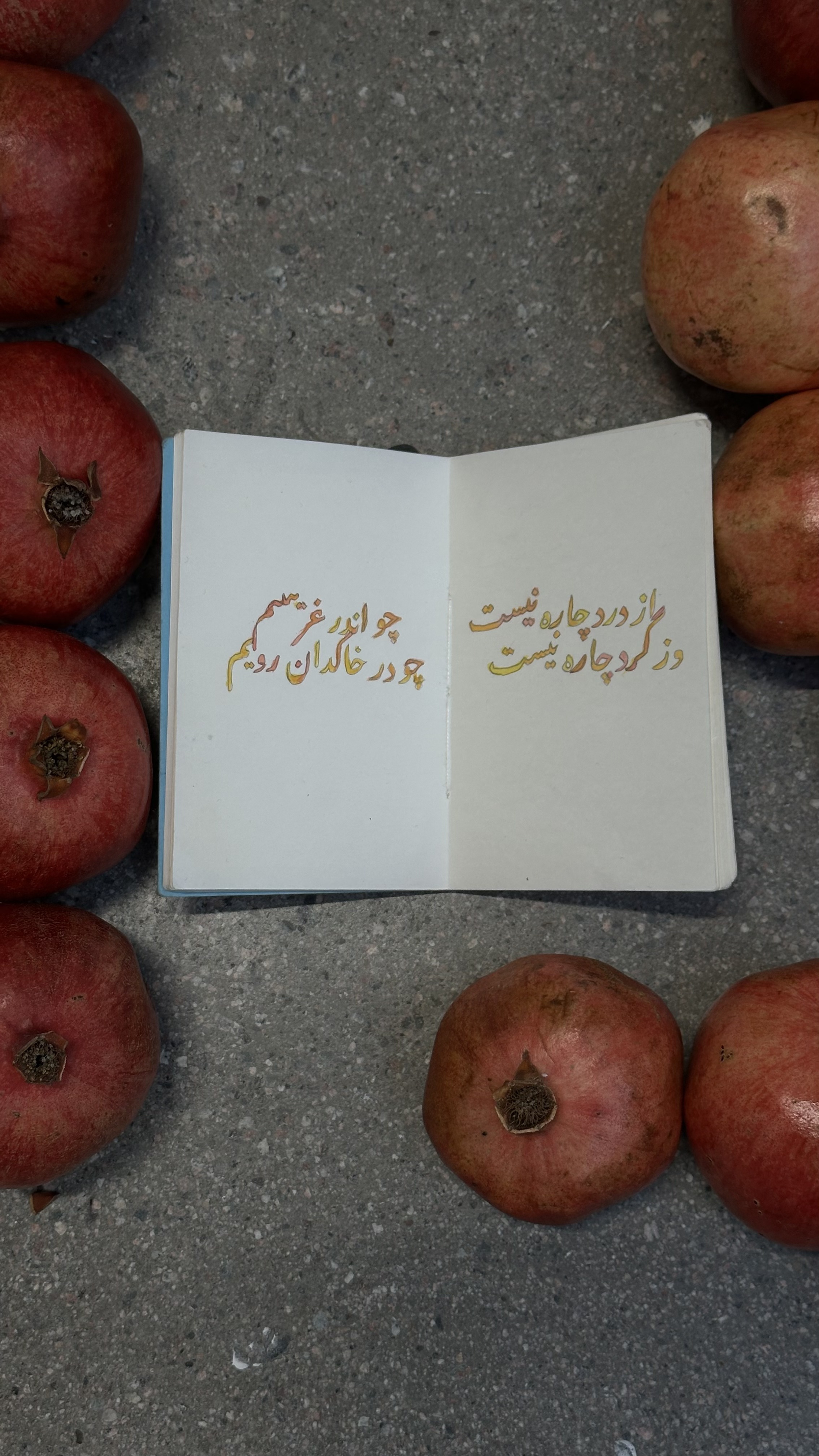 WORK – AILIN MIRLASHARI